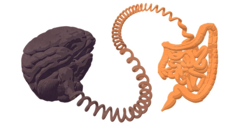 …and the Brain Bone is STILL Connected to the Bowel Bone - Child ...